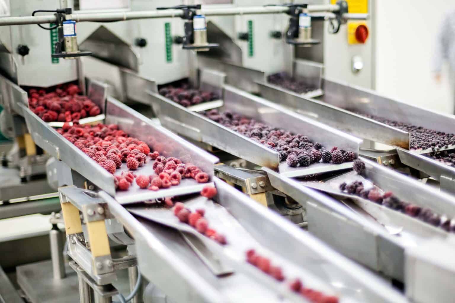 Food Processing – Essco Incorporated